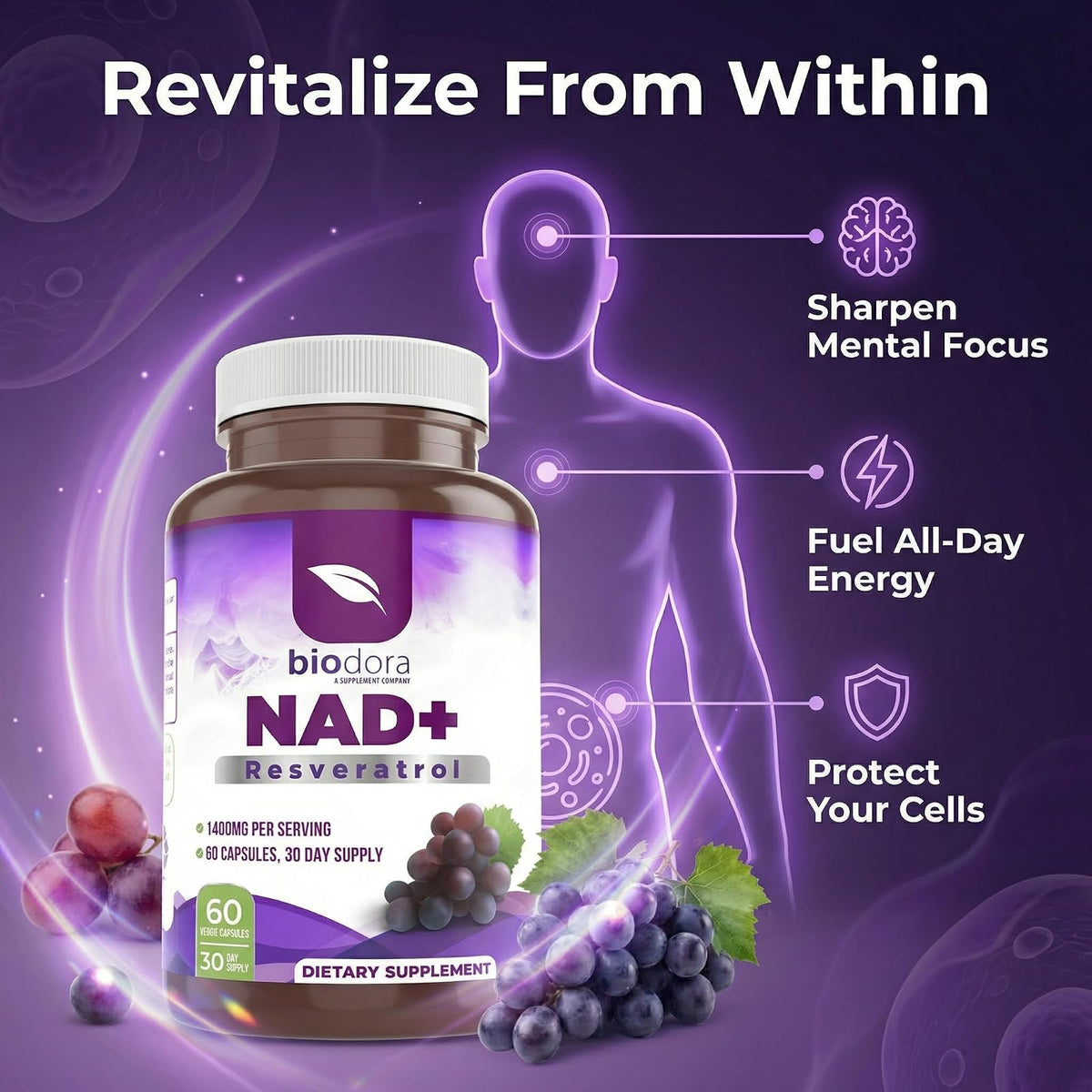 promotes healthy aging with resveratrol