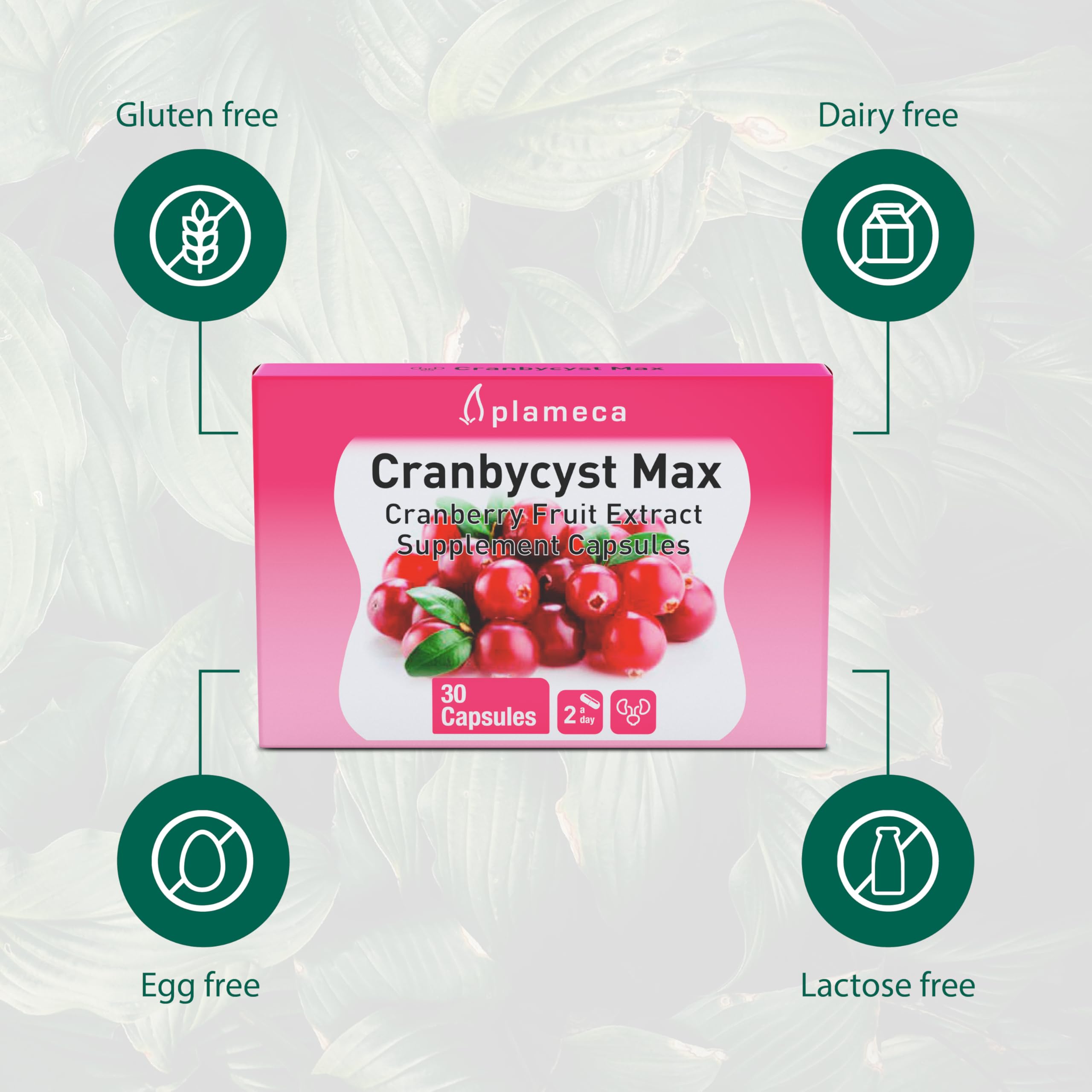 promotes healthy bladder function