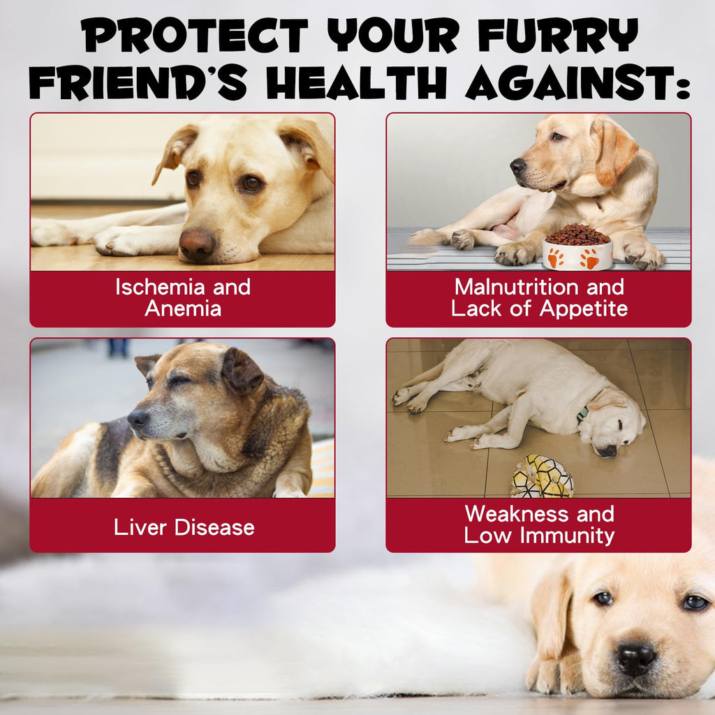 promotes healthy blood in dogs
