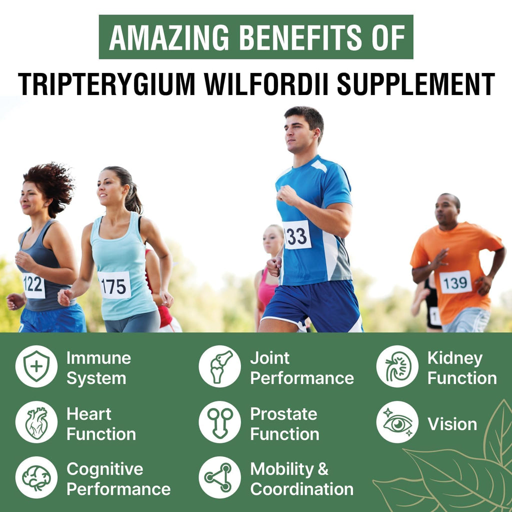 Promotes healthy body function