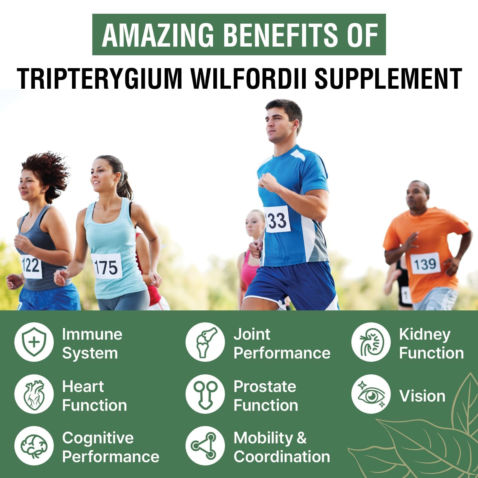Promotes healthy body function