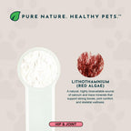 promotes healthy bones in animals