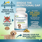 promotes healthy bones in dogs