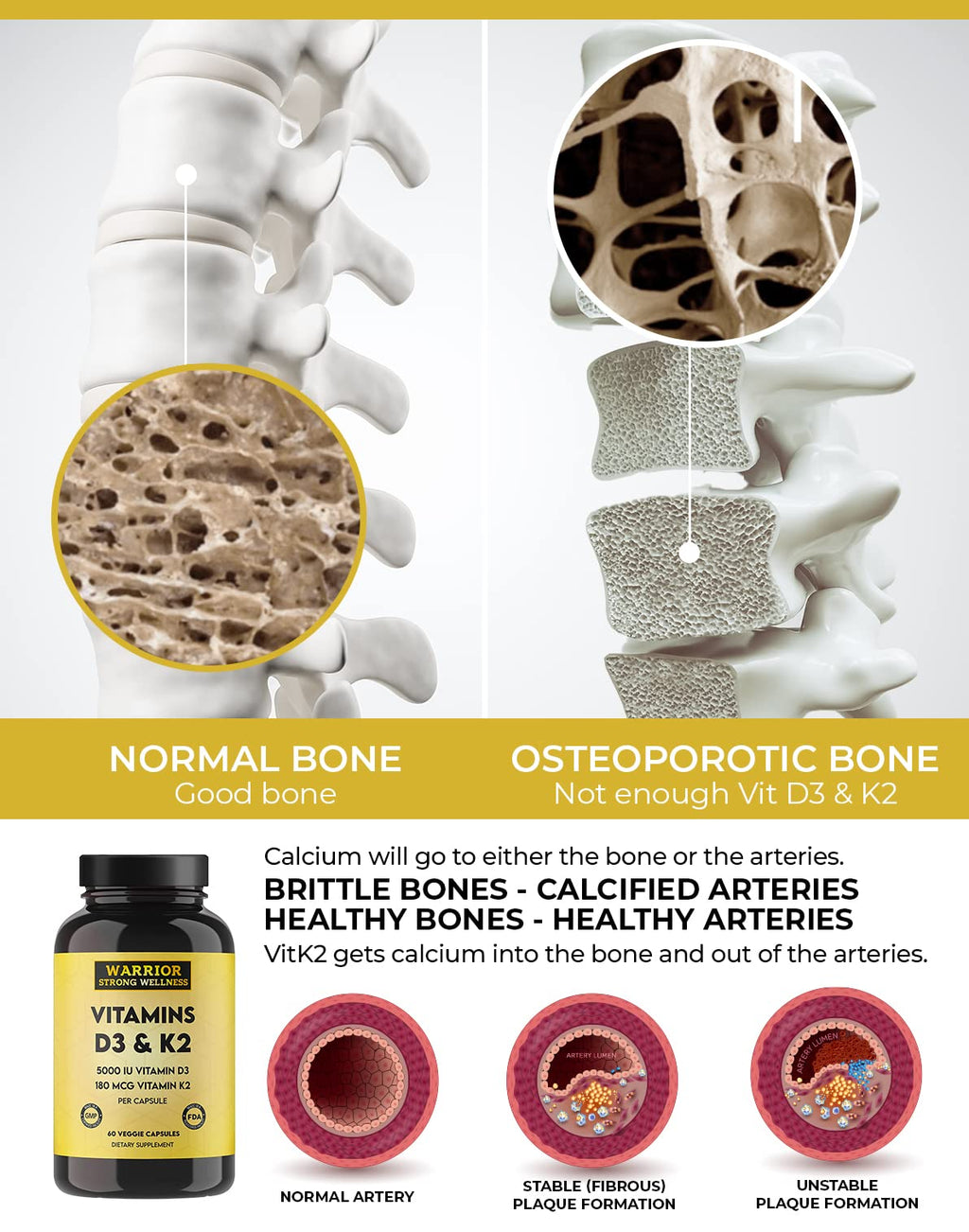 Promotes healthy calcium absorption