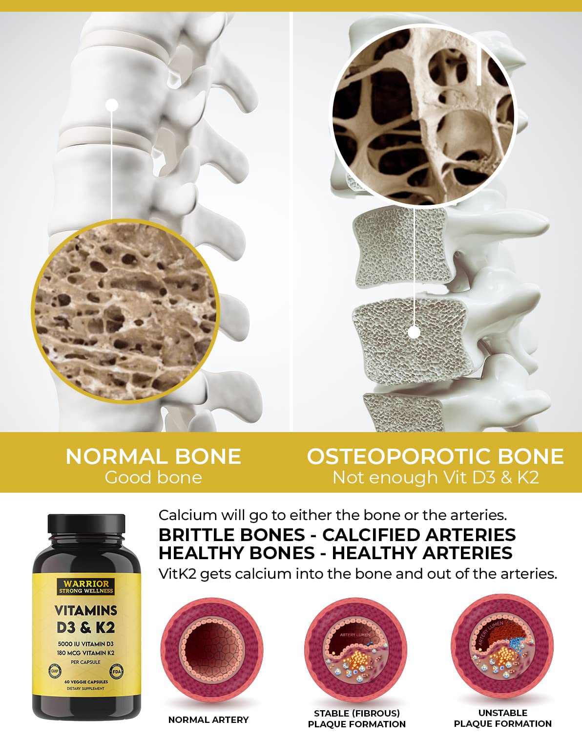 Promotes healthy calcium absorption