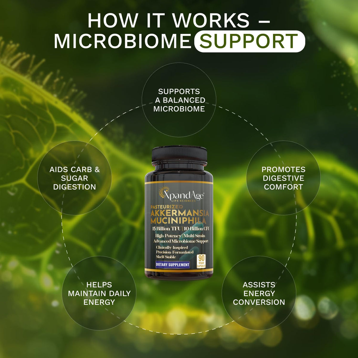 promotes healthy digestion naturally