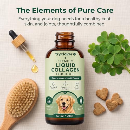 promotes healthy dog skin