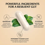 promotes healthy gut function