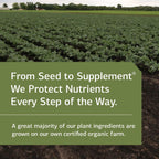 promotes healthy gut microbiome balance