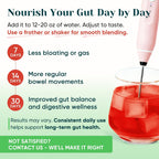 Promotes healthy gut microbiome