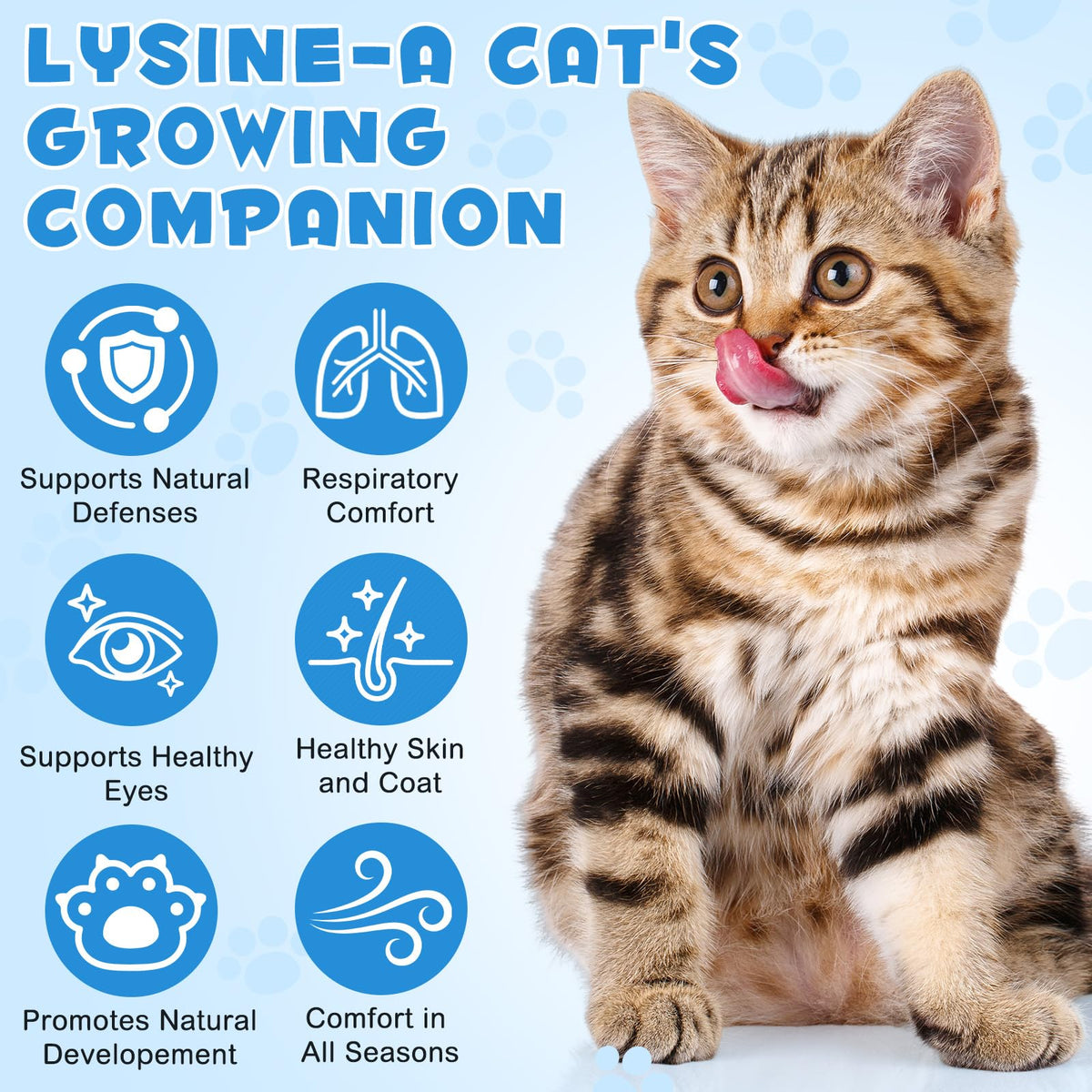promotes healthy skin and coat