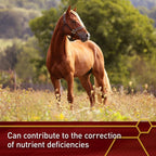 Promotes horse health and vitality