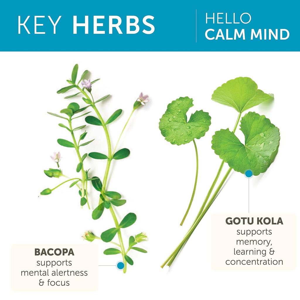 Promotes mental clarity and focus