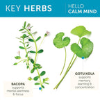 Promotes mental clarity and focus