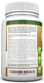 promotes regular bowel movements