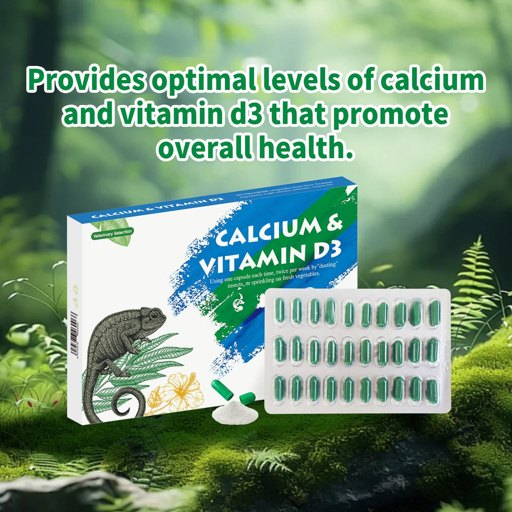promotes strong bones in reptiles