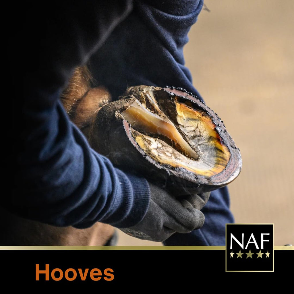 promotes strong hoof growth