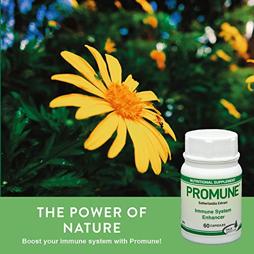 Promune blended supplements for vitality