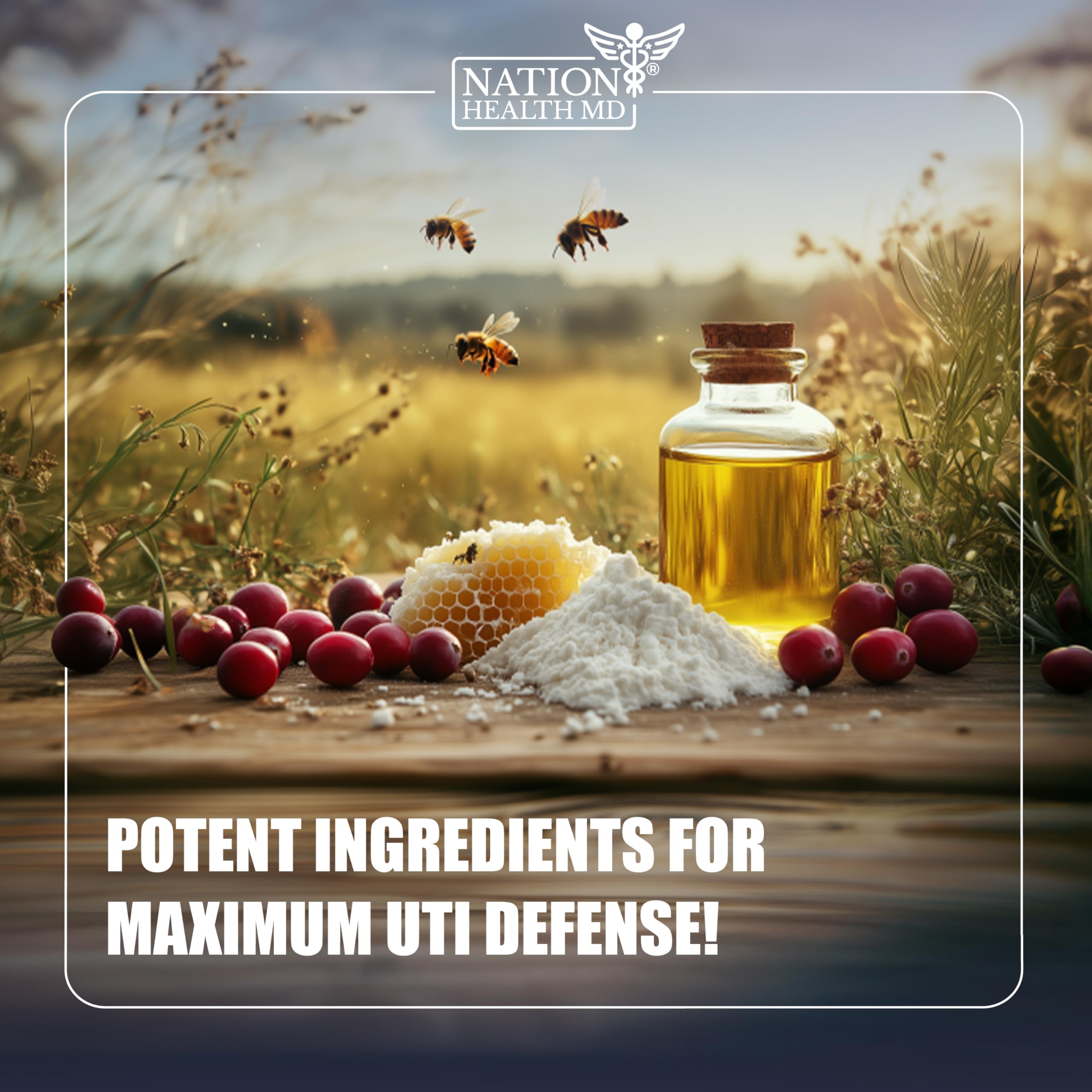 Propolis benefits for urinary tract