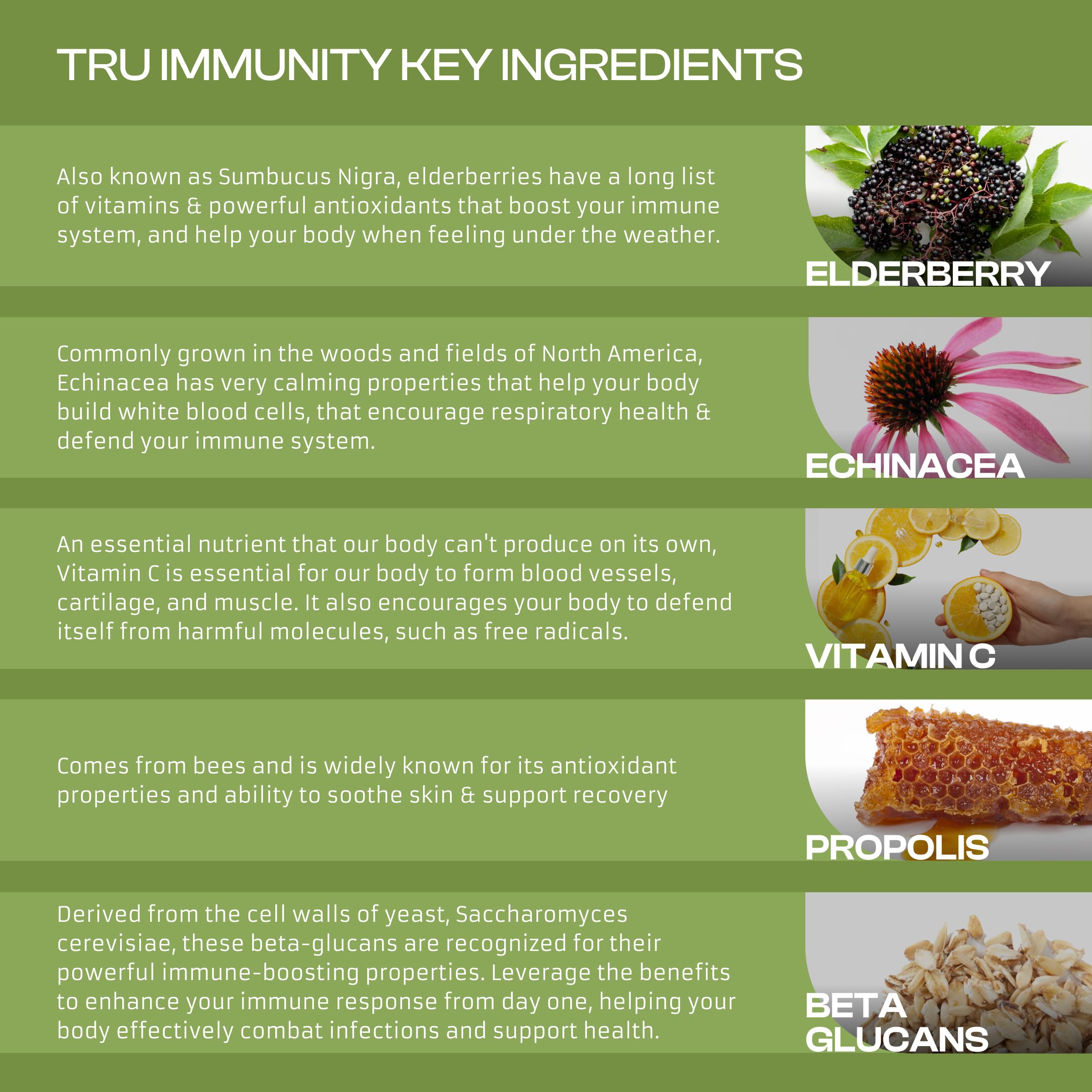 propolis capsules for daily wellness
