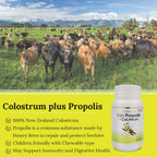 Propolis tablets for children's wellness