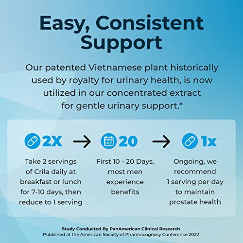 prostate support with pumpkin seed oil