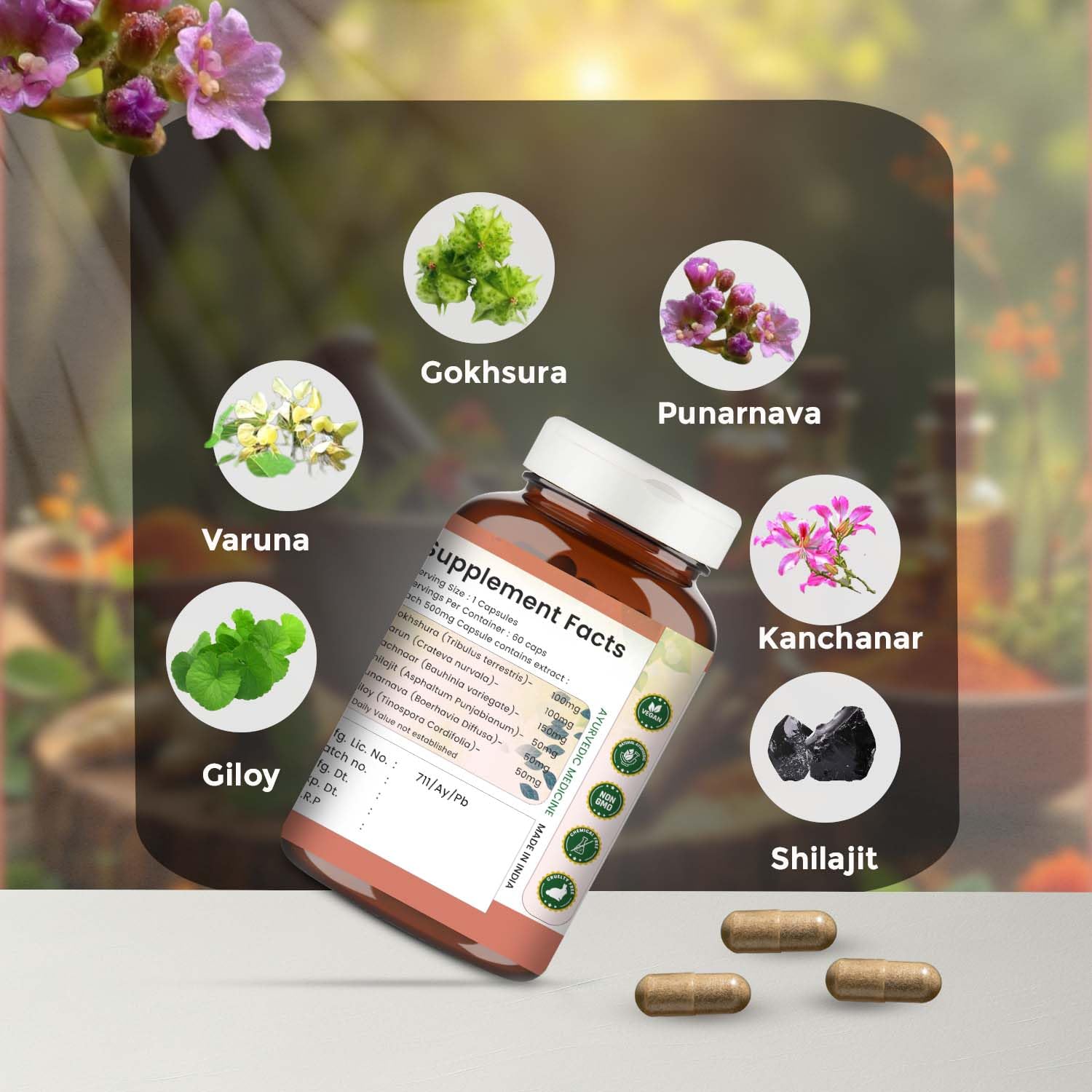 ProstoCalm holistic wellness approach