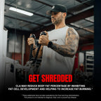 ProSupps CLA 3000 for energy boost