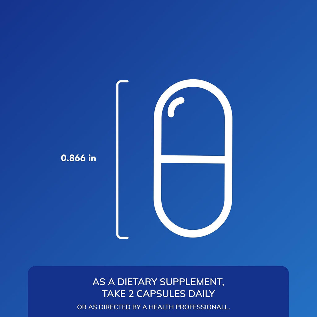 Protein capsules for enhanced muscle repair
