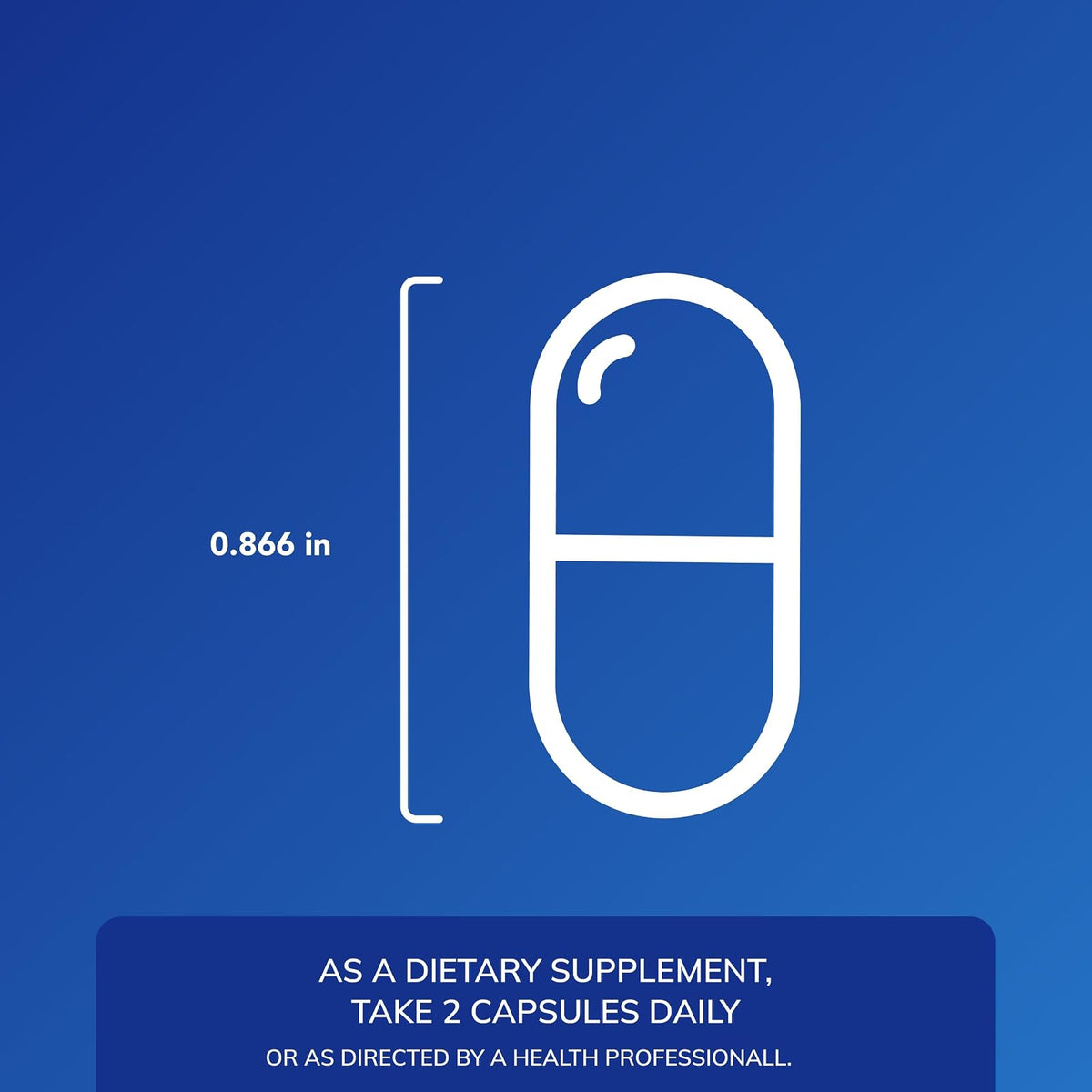 Protein capsules for enhanced muscle repair