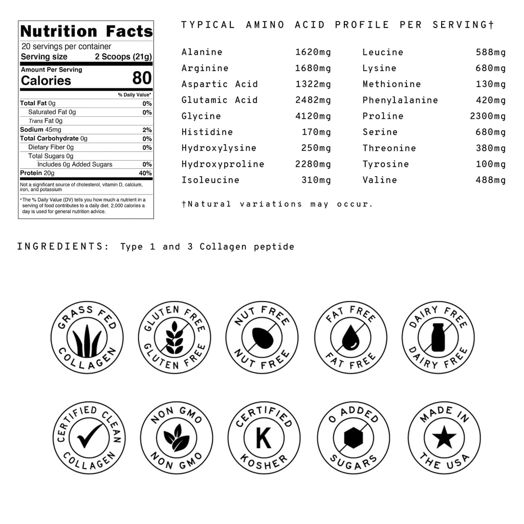 protein powder for everyday use