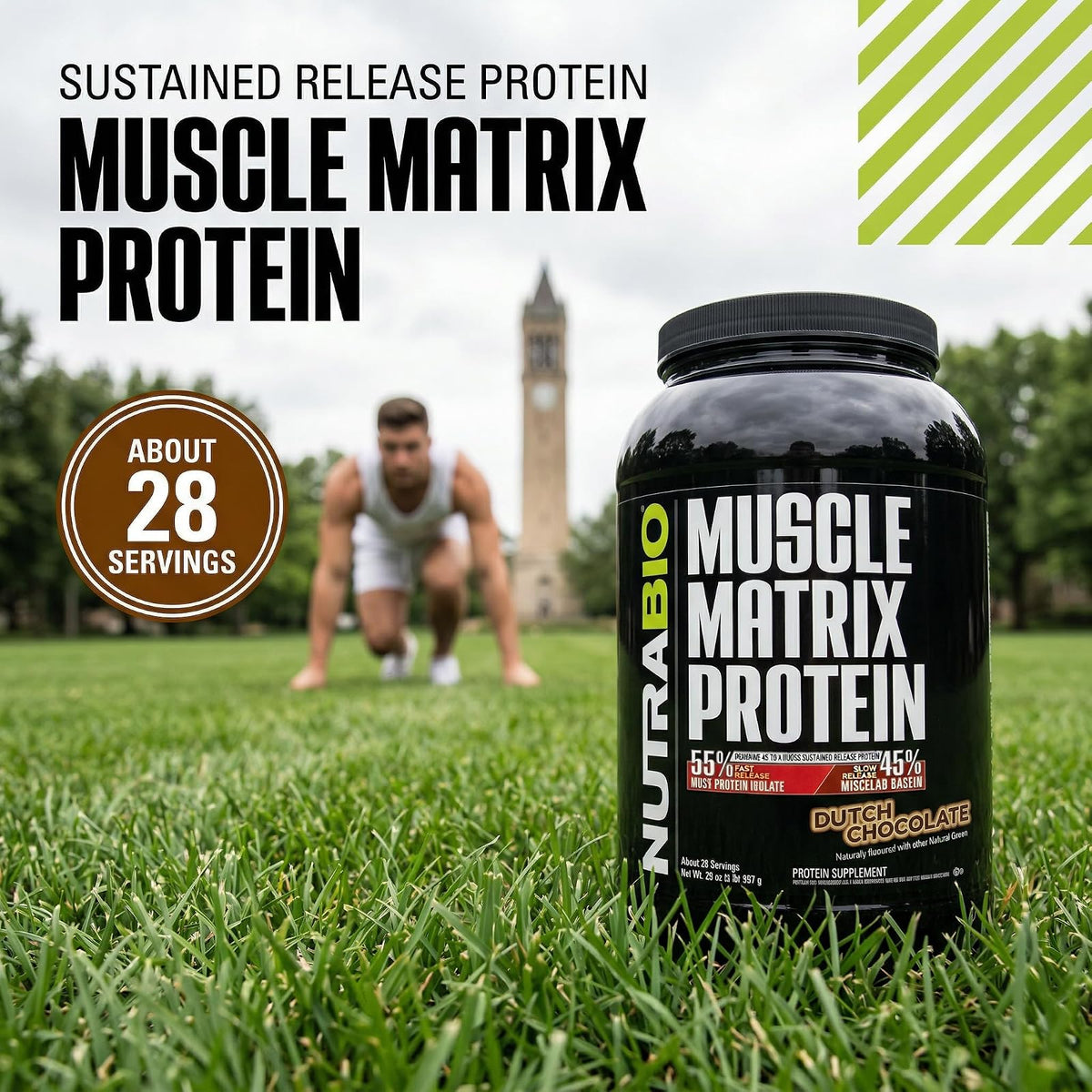 protein powder for muscle growth