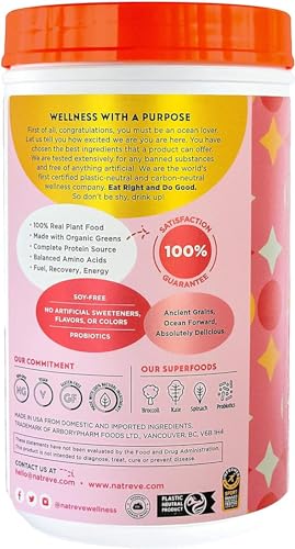 protein powder for post-workout recovery