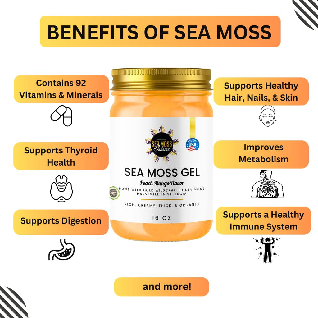 Protein-rich sea moss gel benefits