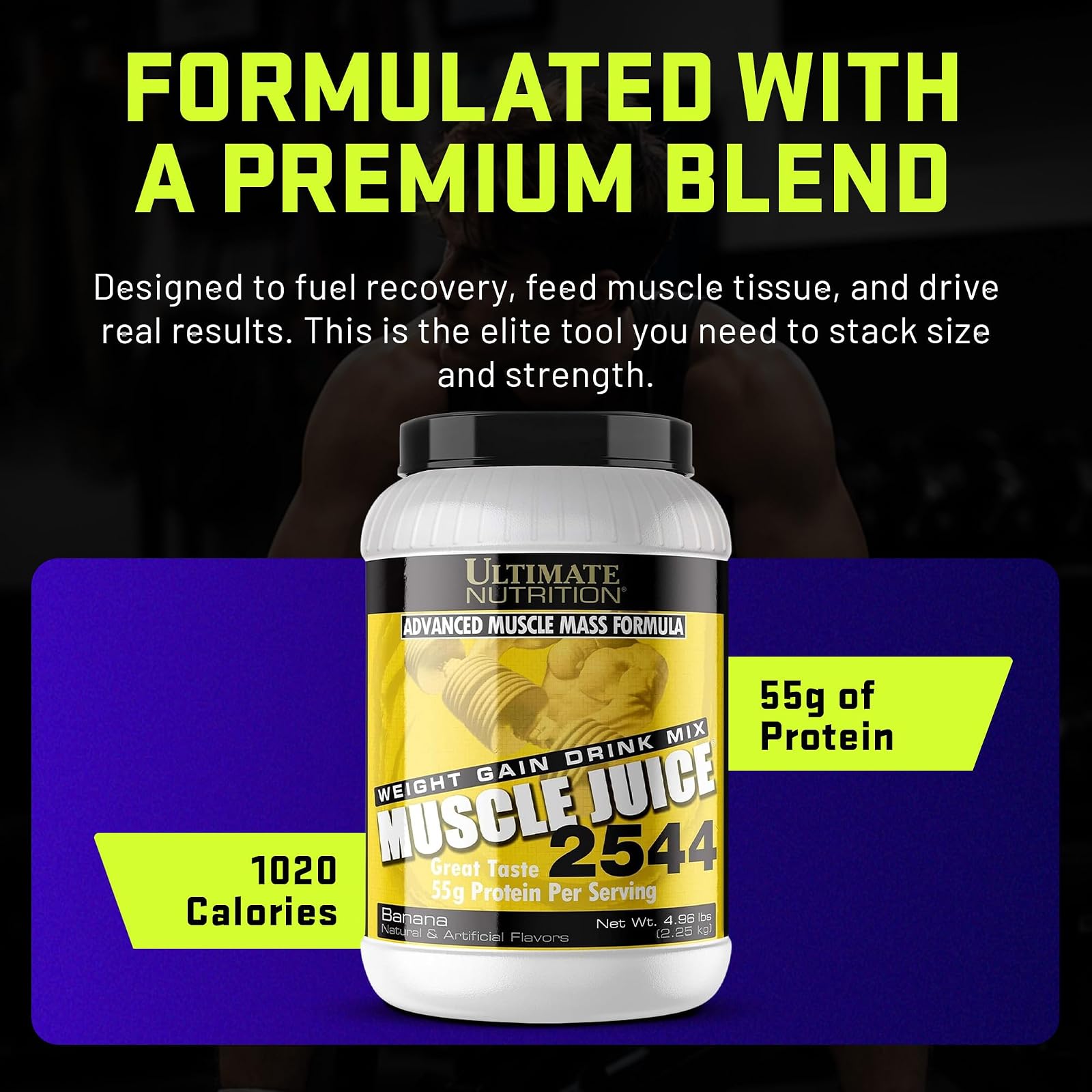 protein-rich weight gainer supplement