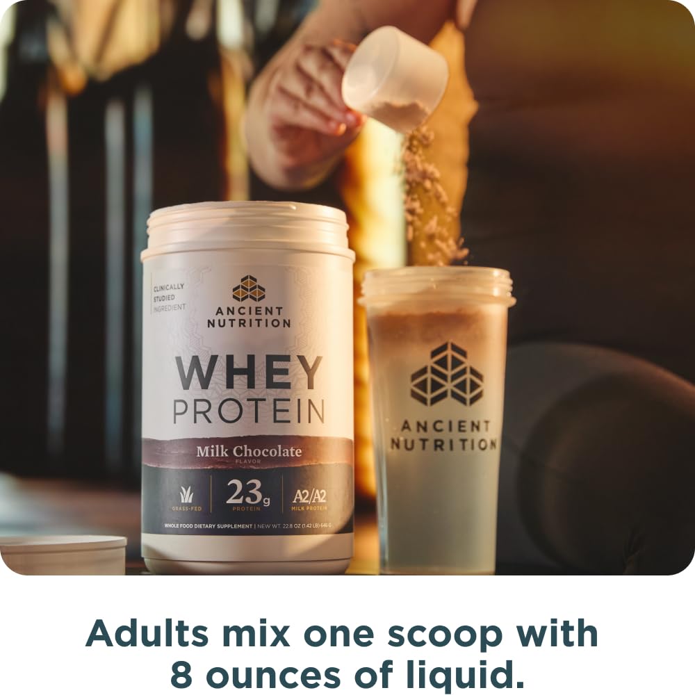 protein supplement for active lifestyle