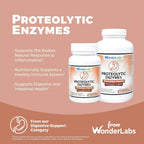 proteolytic enzymes for protein digestion