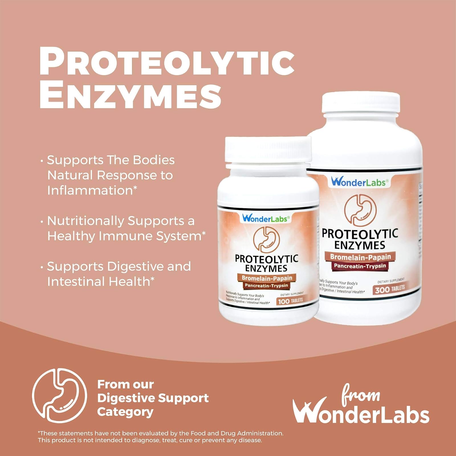 proteolytic enzymes for protein digestion