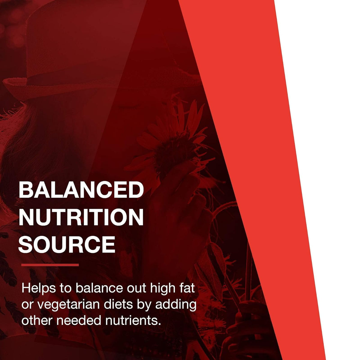 Protocol For Life Balance amino acid formula