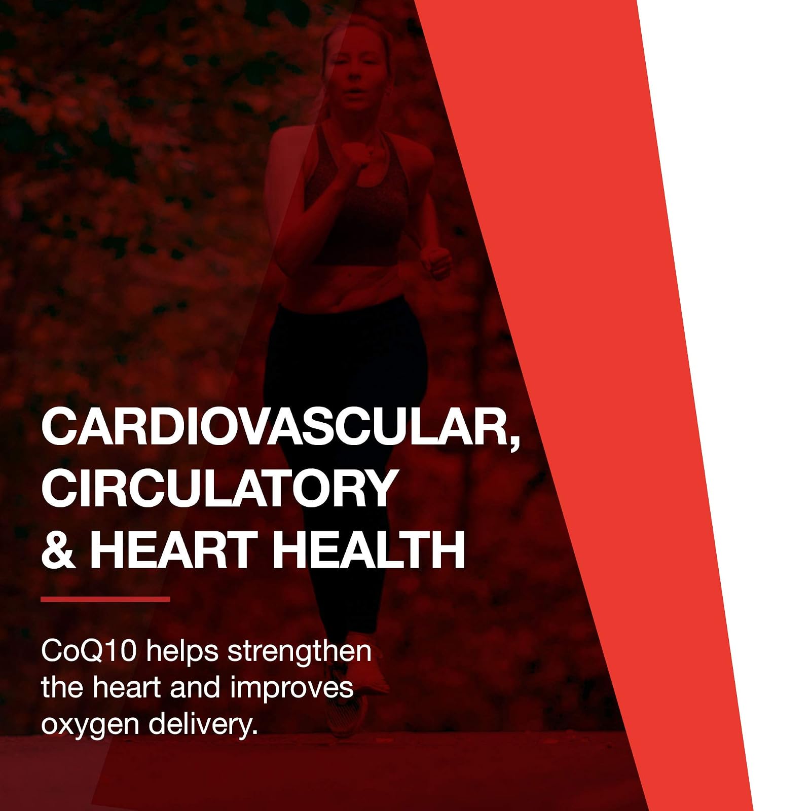 Protocol For Life Balance CoQ10 benefits