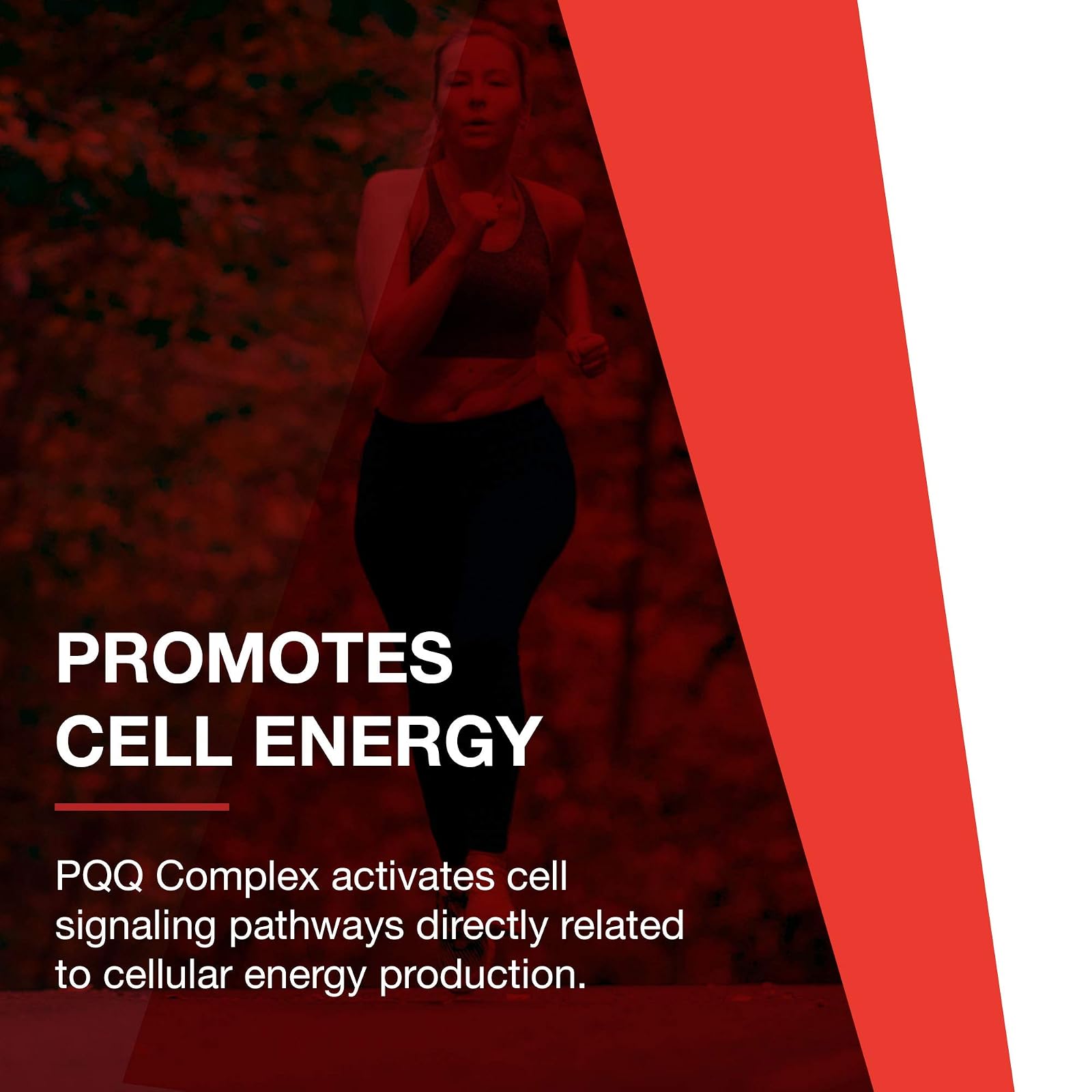 Protocol For Life Balance CoQ10 capsules