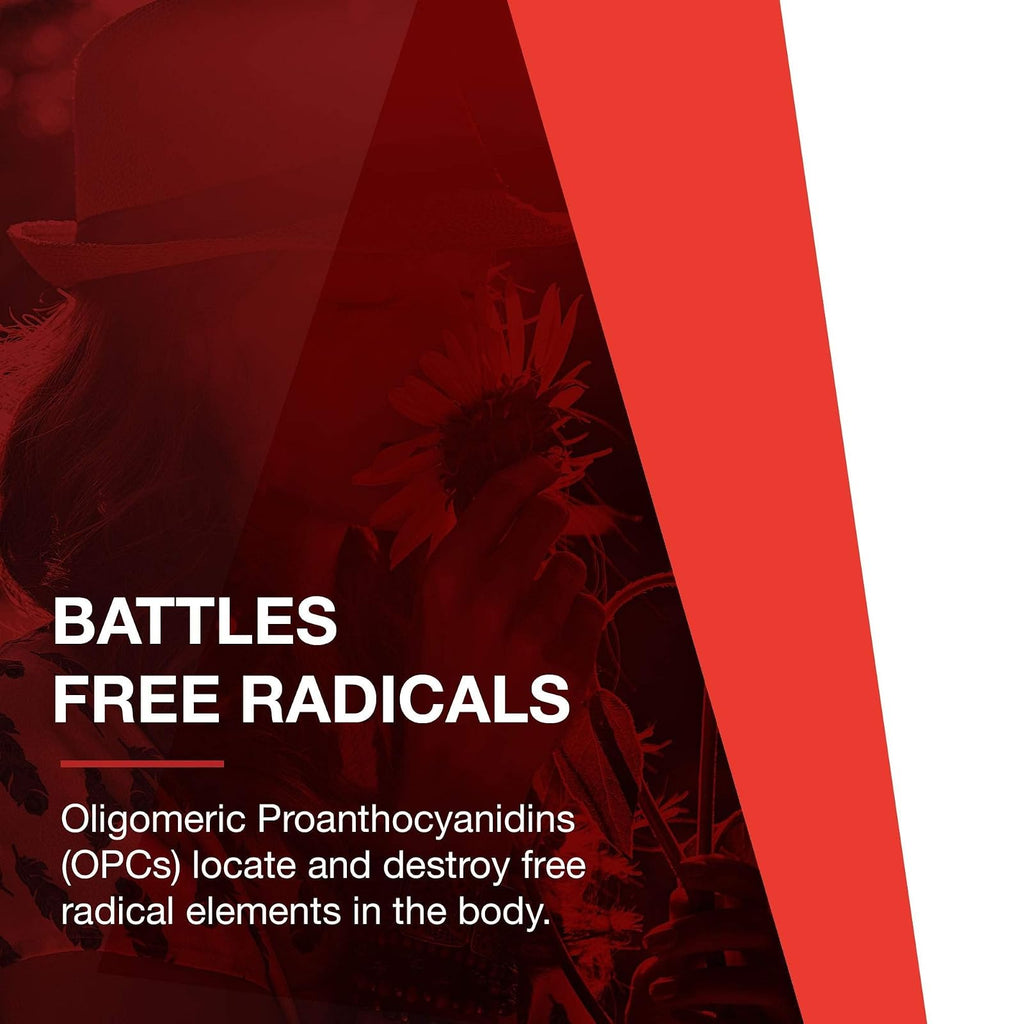 Protocol For Life Balance herbal remedy