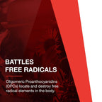 Protocol For Life Balance herbal remedy