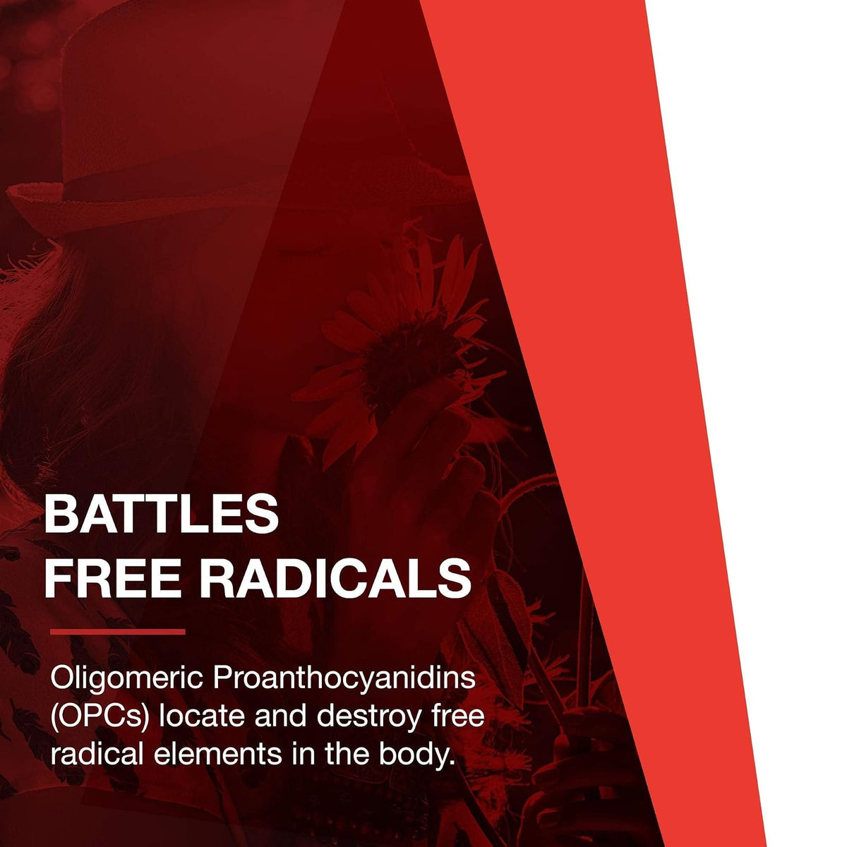 Protocol For Life Balance herbal remedy