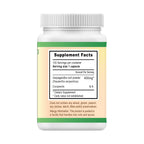 Psyllium husk alternative for gut health