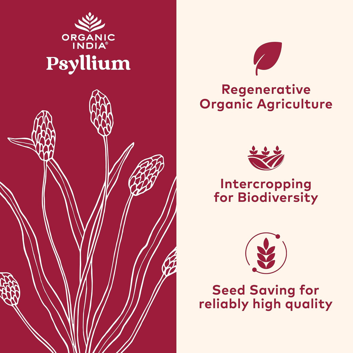 Psyllium husk for digestive health