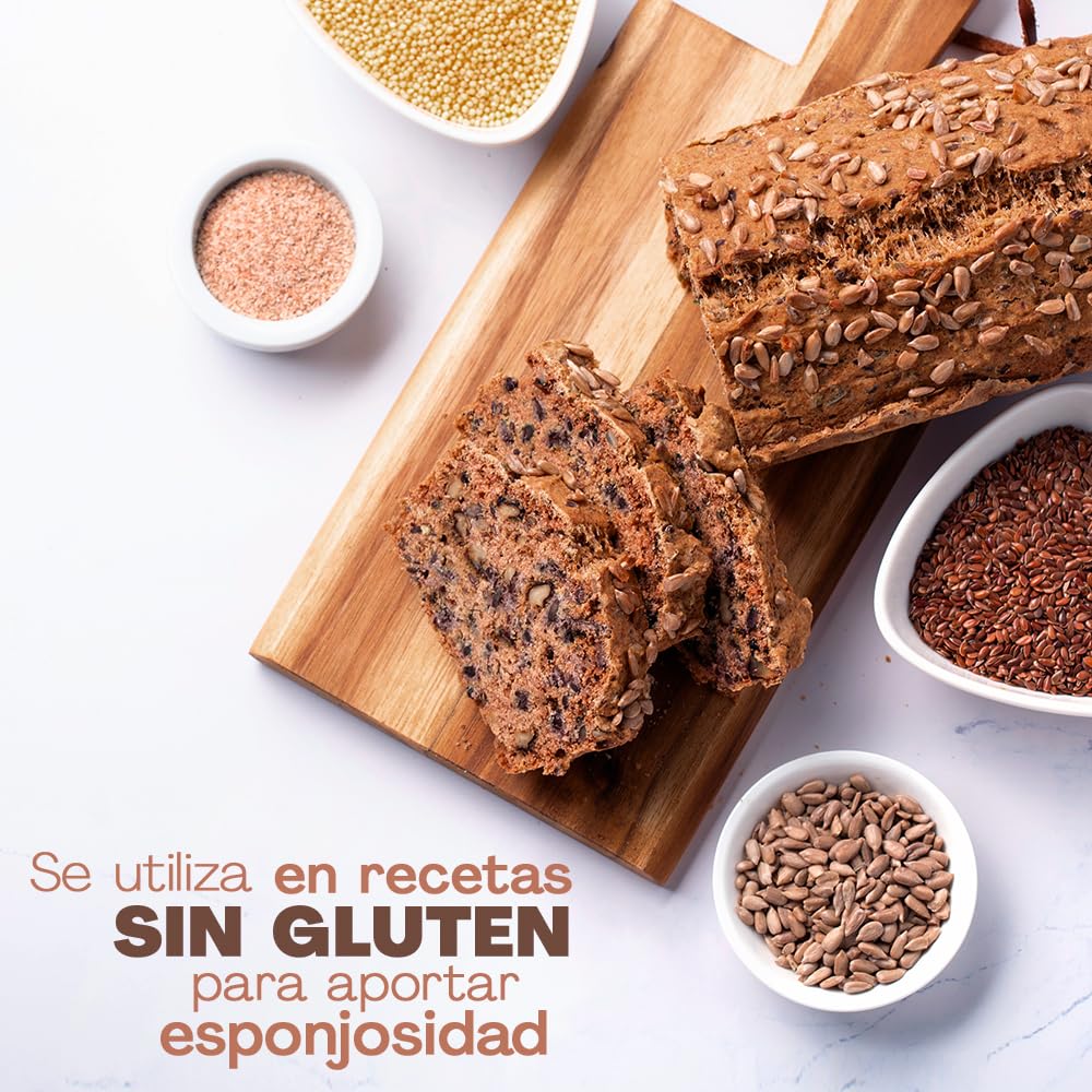 psyllium husk for healthy bowel movements