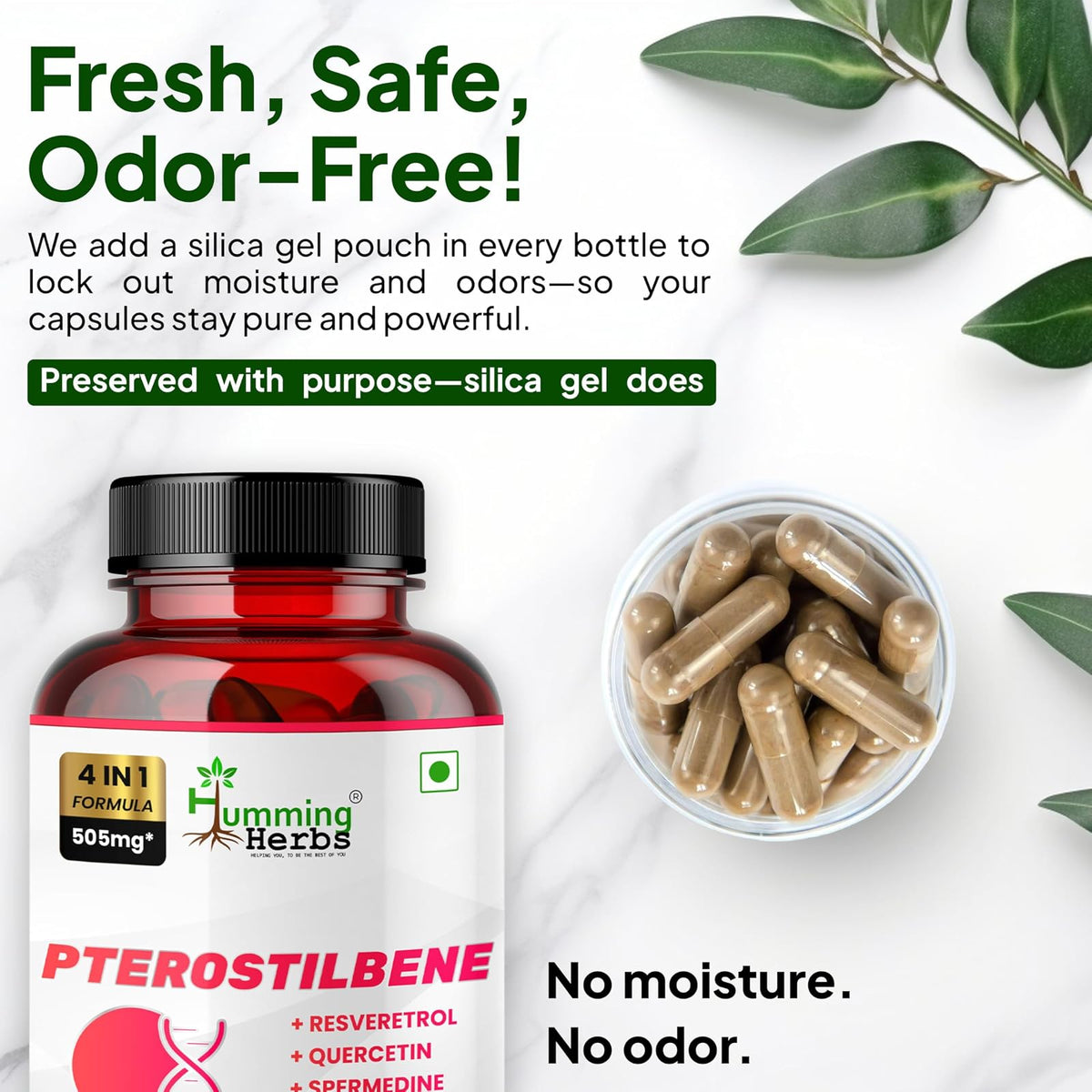 Pterostilbene capsules for daily vitality