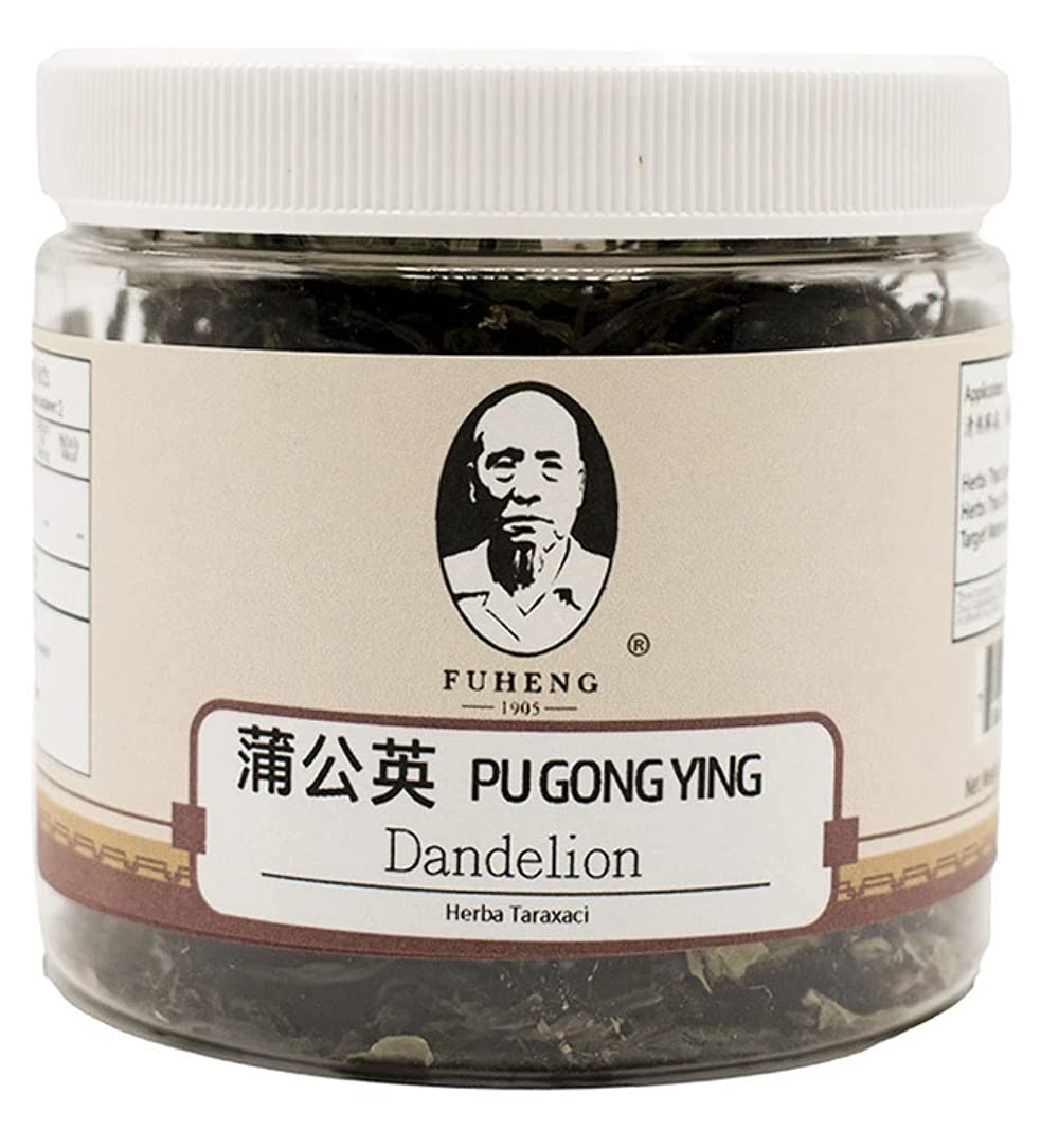 PU GONG Ying dandelion supplement benefits