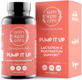 Pump It Up lactation support